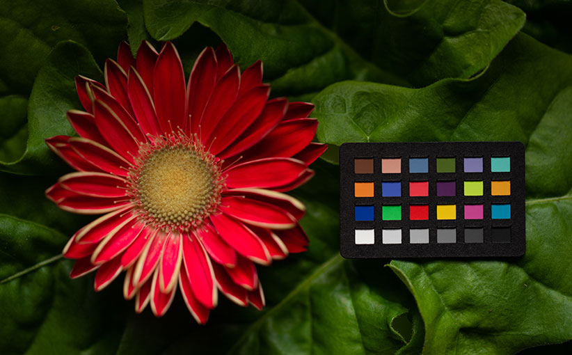 X-Rite introduces five new ColorChecker sizes - Pro Moviemaker