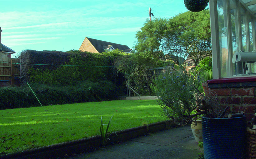 Real-world Raw - Pro Moviemaker